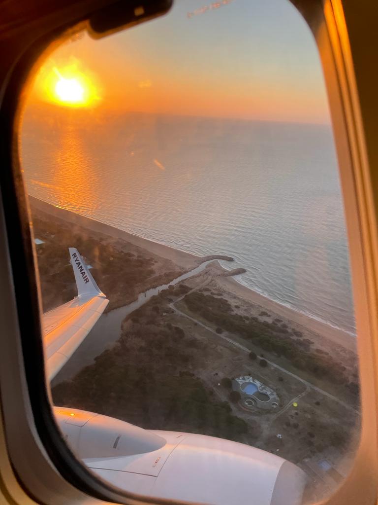 Gemma n° 1980 – oradireli